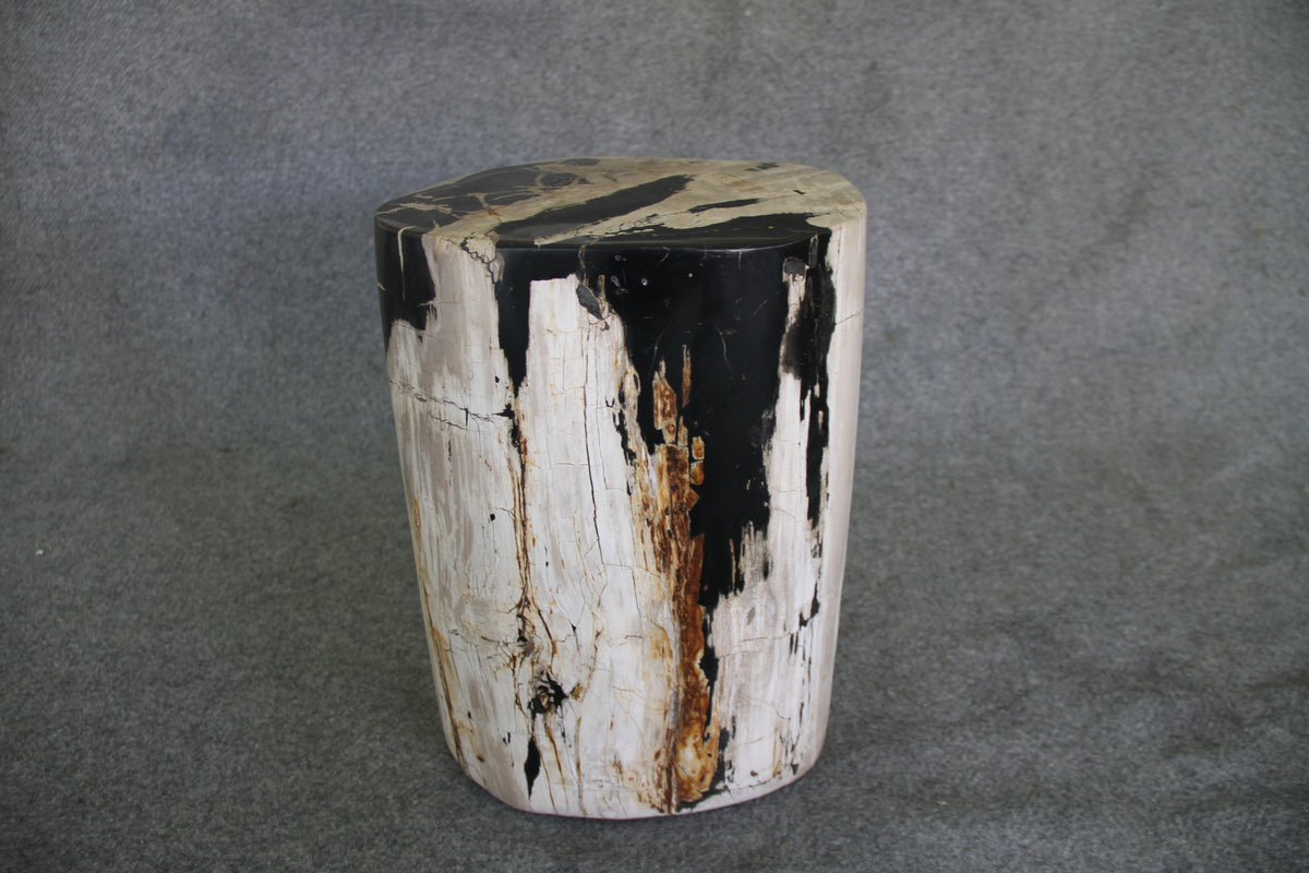 Petrified Wood Log Stool 12 x 9 x 17 - 1402.21 – Aire Furniture